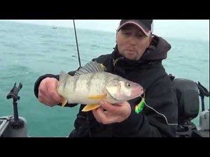 Indiana Perch Fishing December