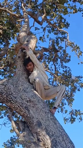 Ɽᴛꪝ么 Ꭺᴢꫝᴅ ßʜɪ⚠︎ɴᴅ͢ᴇ ᶍ̸𓅂 on Instagram: "#new #minivlog #vijaybhinde69 #michelinpower #inspiration #goodvibes #halloween #viralreels #viralvideos #azadnagar #vintage #new #lifestyle #insta #all #india"