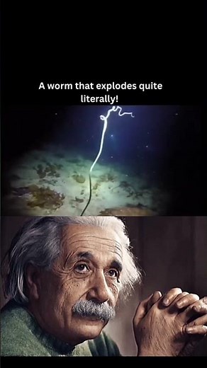 A Worm That Explodes Quietly? Watch This!