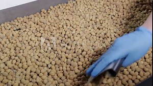 hand with a scoop moves peanuts for drying in spices, putting with Scoop. Drying peanuts in spices. Peanuts with sauce close up.