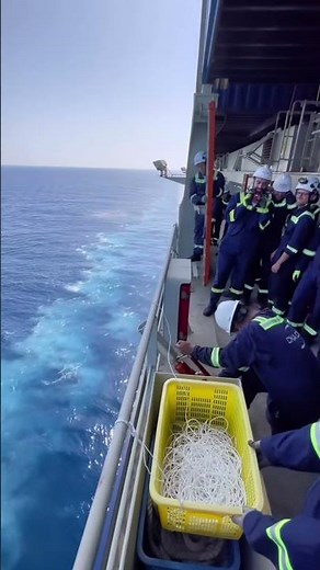 How Line Thrower Rockets Save Lives at Sea #learnerbytes