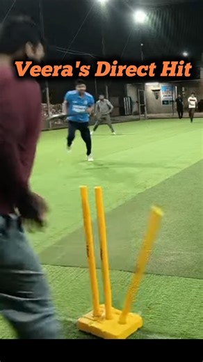 Direct Hit and Gone 😐 Amazing Run Out in Box Cricket 🏏 #cricket