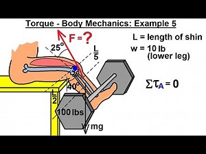 Physics 15 Torque (17 of 25) Body Mechanics: Ex. 5, F=? Leg Lifting Weights