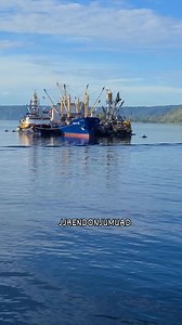 Transhipment Operation Buhay Purse Seiner Buhay Reefer Vessel #jjrendonjumuad #followerseveryone #purseseiner #reefervessel | JJ Rendon Jumuad