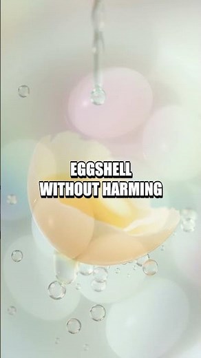 The Science of Homemade Eggshell Membrane Model