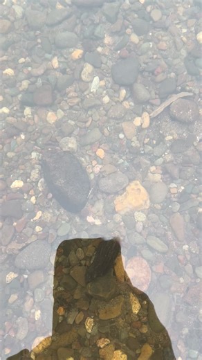 PNW Candy!#rockhounding #rockhoundingtiktok #pnw #rocks