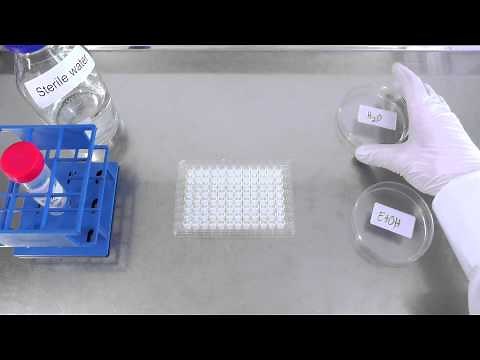 EtOH Treatment of ELISpot Plates