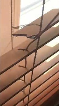 How to repair a window blind for free in minutes #blind #diy #homemaintenance