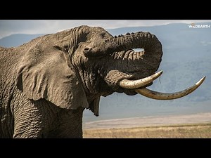 LIVE at the waterhole - 18 October 2025