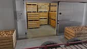 Cold storage warehouse for boxes with onions