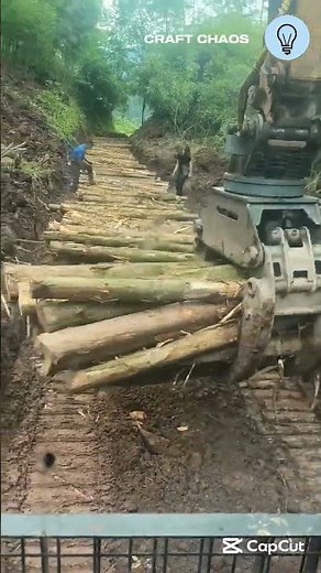 Process of road construction from tree logs: forest road construction