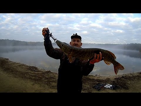 Jak złowić szczupaka cz.3/ zestaw na szczupaka/plecionka/jaki przypon/agrafka/wędka kołowrotek