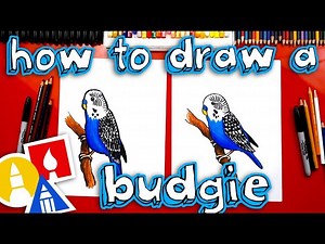 How To Draw A Budgie Parakeet - Videos For Kids