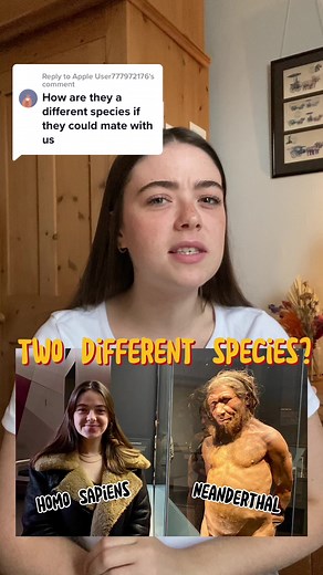 Homo Sapiens vs Neanderthals: Separating Myth from Reality