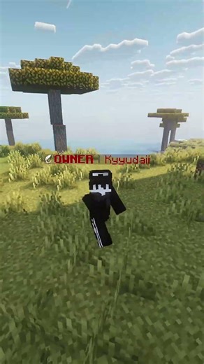 Ich habe einen HACKER erwischt! #minecraft #smp #deutsch #fürdich