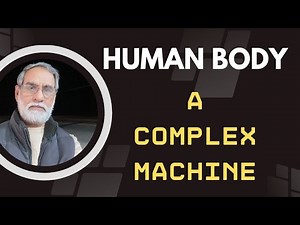 Human Body, A Complex Machine