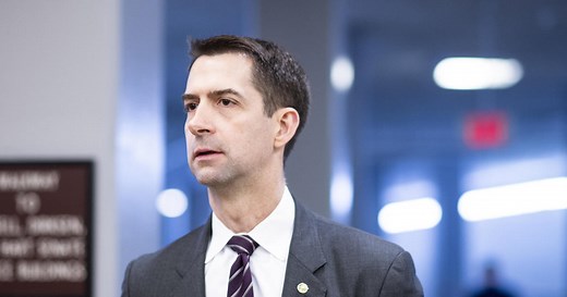 Tom Cotton criticized for slavery comment