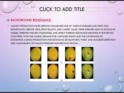 Mango disease detection app