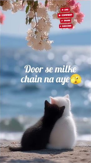 Mere sapno ki rani❤️#trendingshorts#old#explorepage#love#reels#status#viralshorts#hindisong#song