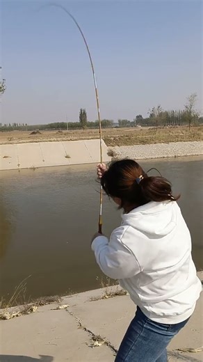 Test Cần Câu CHÉP 3H 4M5 Siêu Cứng Câu Cá Đến 10kg Có Gì Đặc Biệt?