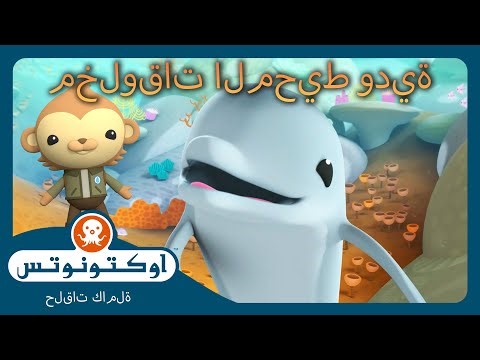 أوكتونوتس | 🤗 ألطف مخلوقات المحيط 🐬 | حلقات مجمعة
