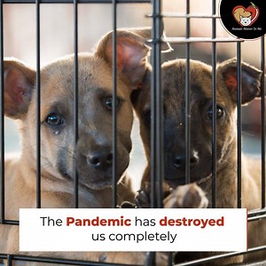 147K views · 2.4K reactions | We have run out of funds because of the...