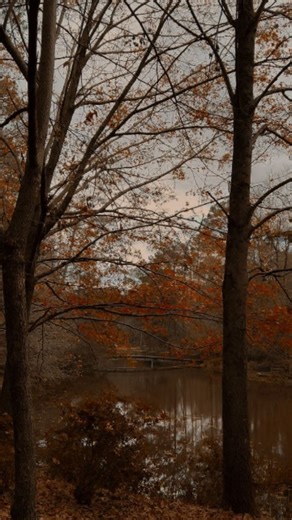 hasif core on Instagram: "#tumblrinspired #writingcommunity #booklovers #literaturelover"