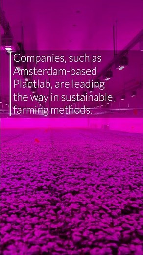 The Netherlands' Pioneers Smart Farming In A Fast Growing Market