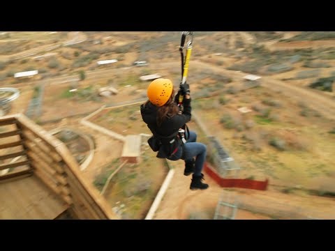 Predator Zip Lines | Zip over Lions, Tigers and Bears!