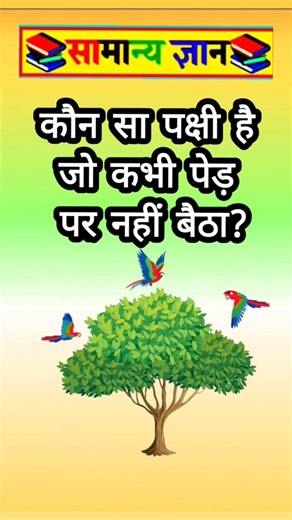 😇😅Which bird never sits on a tree?😱🤔 #gk #trending #viralshort