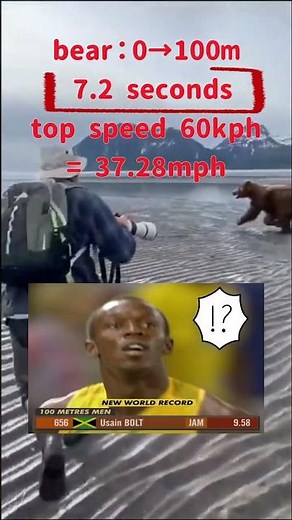 How to Avoid Bear Attacks: Essential Safety Tips for Hikers & Campers