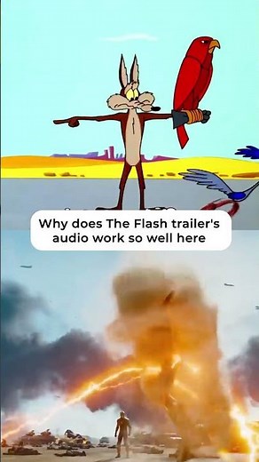The Flash Meets Looney Tunes