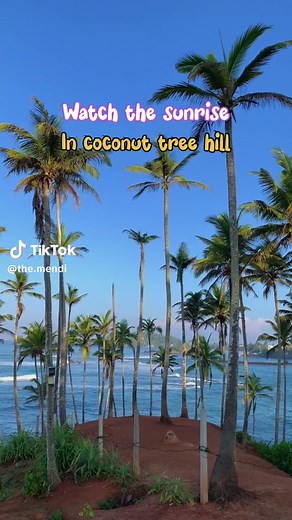 Mirissa things 🌴🌤🐠🌊📍🇱🇰 #srilanka #mirissa #sunrise #sunset