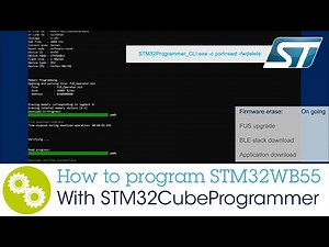 How to program a STM32WB55 with STM32CubeProgrammer