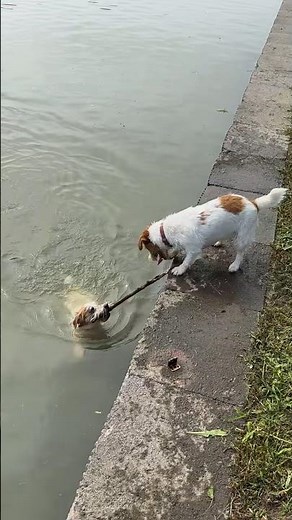 Washing bedspreads on a special mode in the washing machine Lg