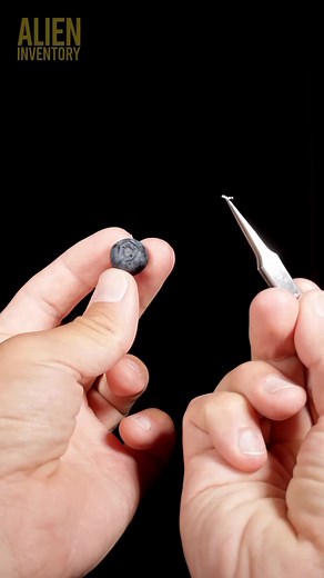 3.9M views · 10K reactions | blueberry vs (if you know name of this item, leave a comment) #asmr #asmrsounds #macroart #macro #macrophotography #makrofotografia #closeup #closeupphotògraphy #raw_macro #kings_macro #macro_highlight #macro_royals #macroworld_tr #macro_vision #macro_captures #macro_holic #microworld #microartist | Alien Inventory | Facebook