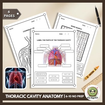Thoracic Cavity Anatomy Labeling Diagram Worksheets | Heart & Lungs Organs