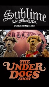 Humans and Dogs agree that Sublime are one of the greats @sublime #sublime #santeria @dogs.lovers @punkerstv @tacobellaus @tacobell #tacobell #thestrays #electricmayhem #dogsofinstagram #puppetsofinstagram #blokesworld #blokesworldtvshow #loudog #dalmatian #labrador #irishterrier #wolf #singingdog | The Underdogs Show