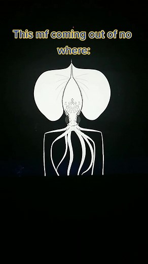 i love them so much #magnapinnasquid #bigfinsquid #deepsea #squid #cephalopod #animals #fish #biology #marinebiology #art #digitalart #drawing #myart