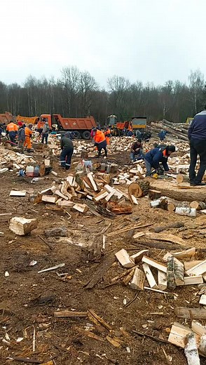 Outdoor Logging Work: Tools and Techniques