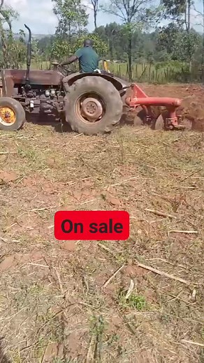 33K views · 226 reactions | Linus Kiptoo Koech on Reels | Facebook