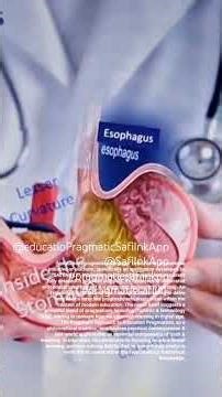 ‪@educatioPragmaticSafiInkApp‬ @SafiInkApp #pragmaticsafiinkapp #pragmaticsafiink @Safiink719