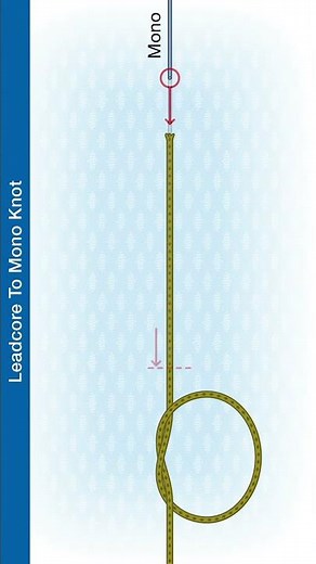 #Shorts How to Tie The Leadcore To Mono Knot