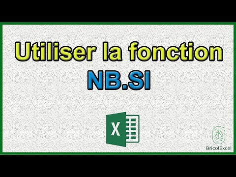 Comment utiliser la fonction NB.SI sur Excel