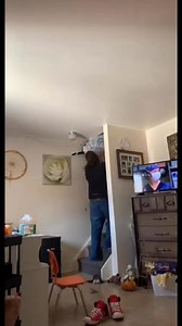 890K views · 5.3K reactions |  | Kitty 1st | Facebook