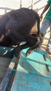 01022479888 | فؤاد عادل