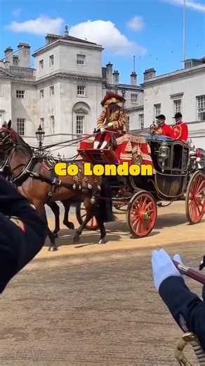 Go london #viral #cat #petshub #love #trending #ytshorts #youtubeshorts #shorts #shortsfeed