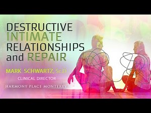 WEBINAR VIDEO: Destructive Intimate Relationships and Repair with Dr. Schwartz