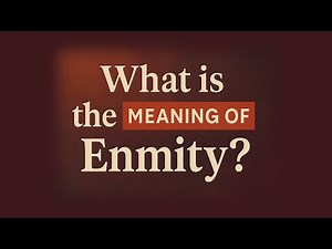 What is the meaning of Enmity?