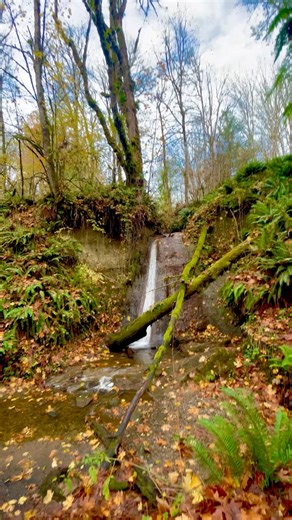 The waterfall in Cinder Mine Trail #travelvlog #waterfall #cinderminetrail